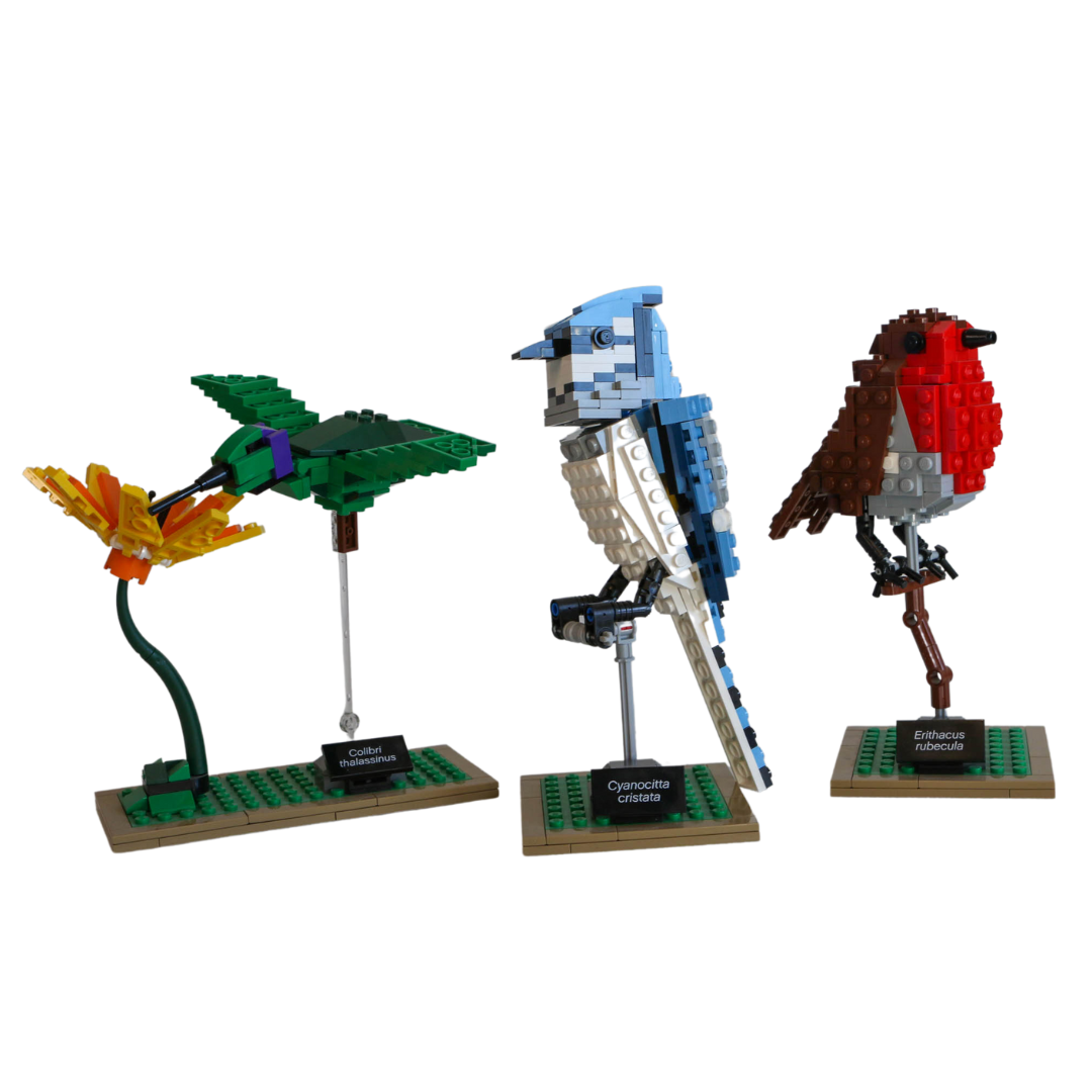 Birds - Brick Library